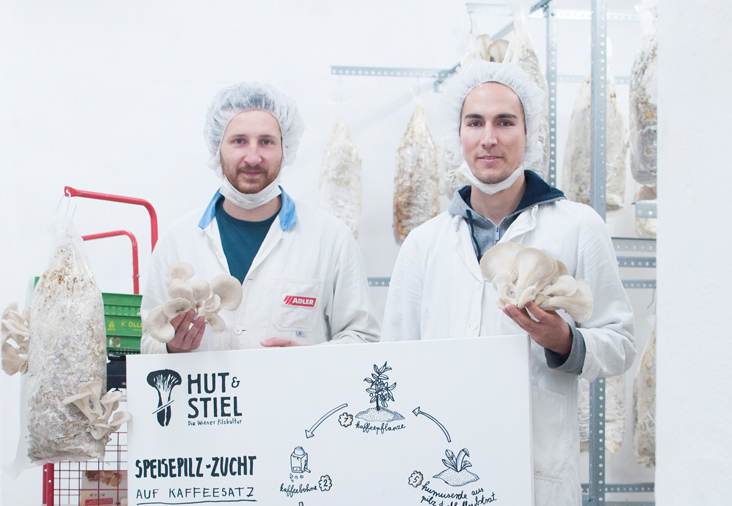 Los 16 Alimentos Innovadores más Exitosos del Momento