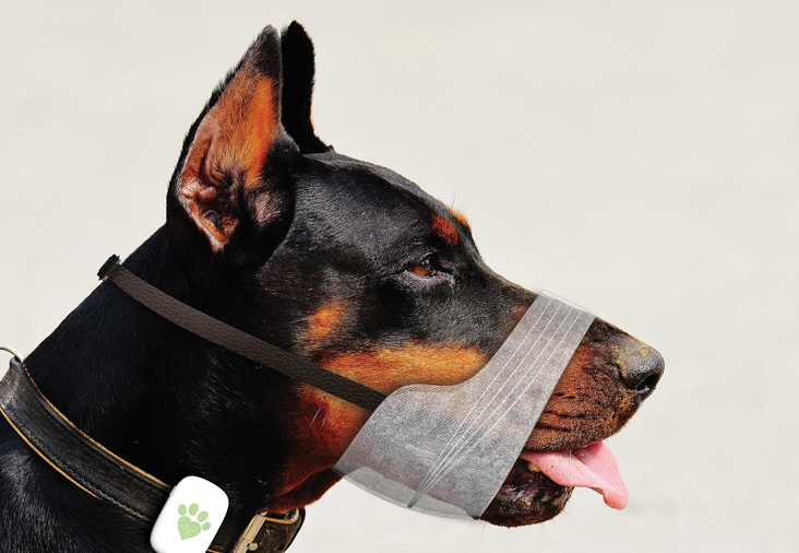 Joyda - El Bozal Inteligente que se Activa Antes de que un Perro Ataque