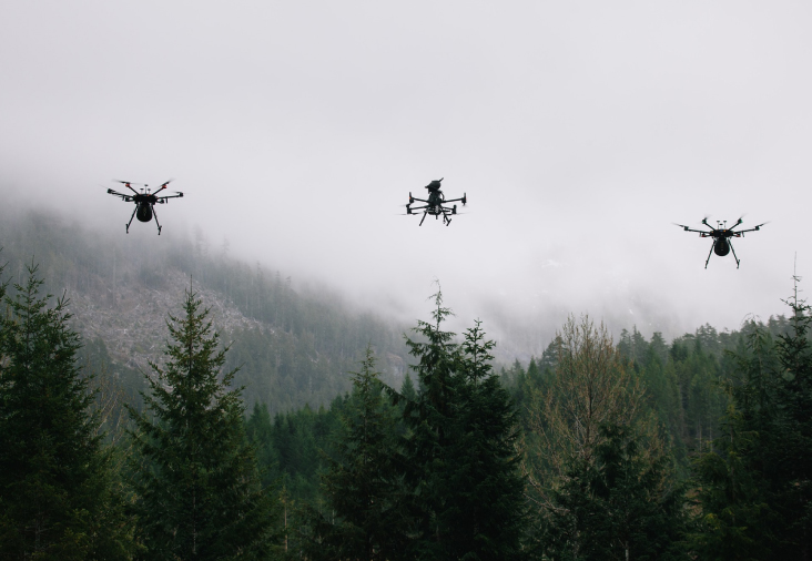 Flash Forest - La Empresa que Plantará Millones de Arboles con Drones