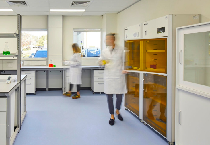 Colabs - Los Nuevos Laboratorios con Modalidad de Cowork