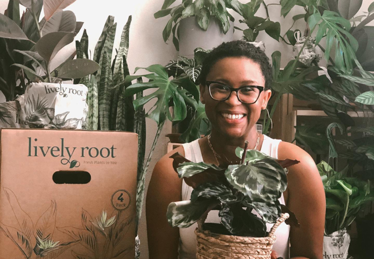 Del vivero a la mesa: Lively Root y sus plantas comestibles
