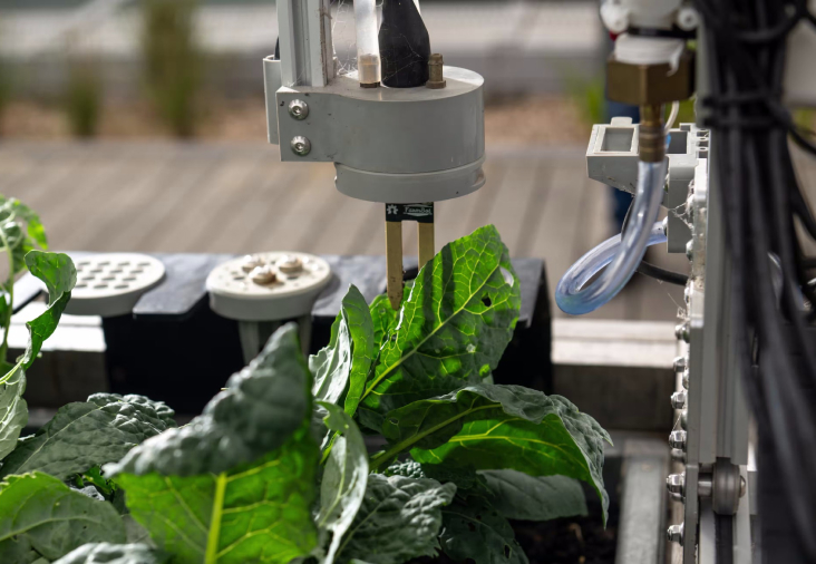 FarmBot: La startup que fabrica robots agrícolas para el hogar