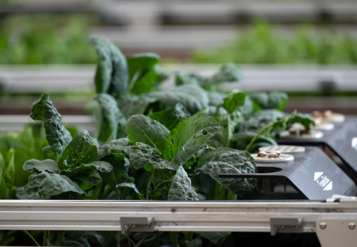 FarmBot: La startup que fabrica robots agrícolas para el hogar