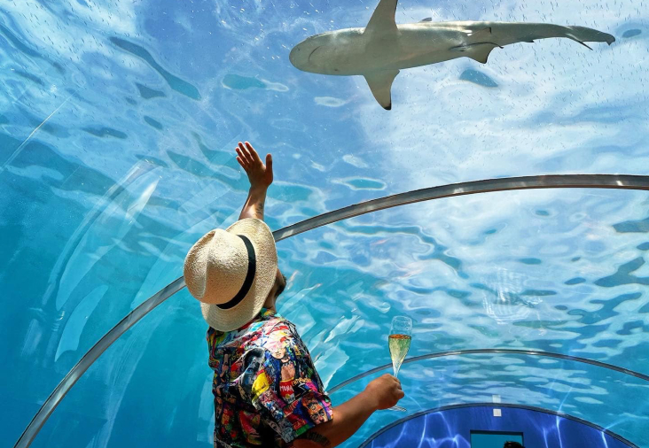 Ithaa Undersea: Una experiencia gastronómica única bajo el mar