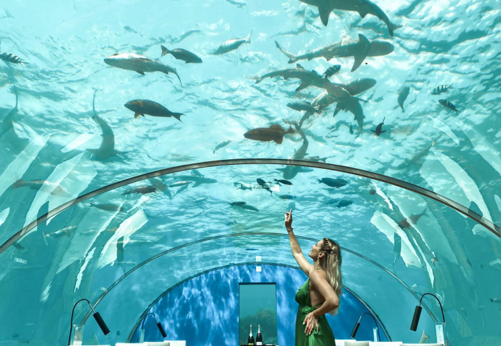 Ithaa Undersea: Una experiencia gastronómica única bajo el mar