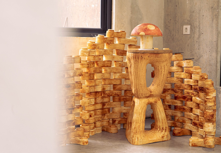 Mycotech: Transformando hongos en muebles ecológicos