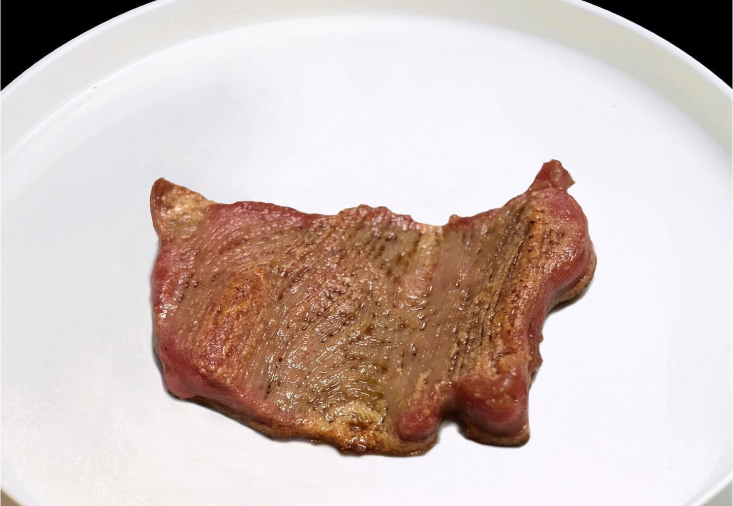 Novameat: Descubre su carne vegetal impresa en 3D