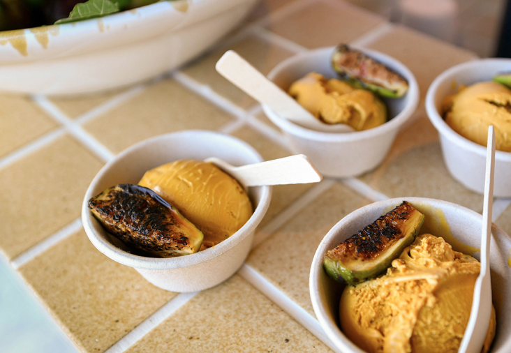 Solein: La proteína del futuro creada con agua, CO2 y energía