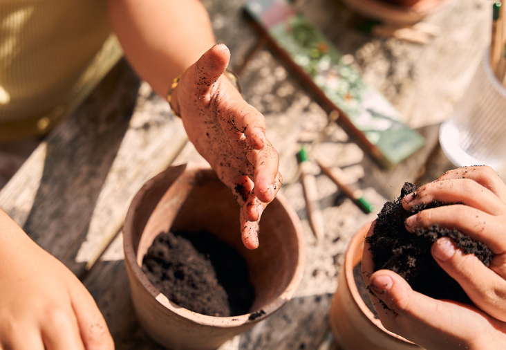 SproutWorld: Lápices plantables que se transforman en flores
