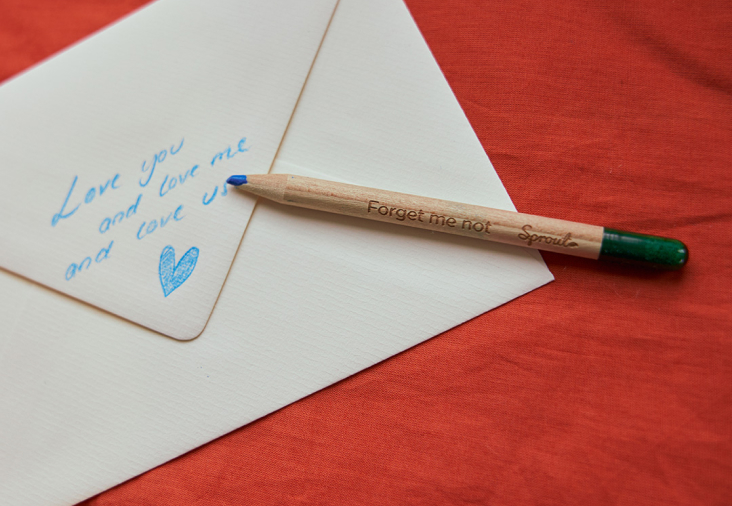 SproutWorld: Lápices plantables que se transforman en flores