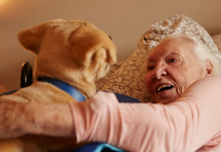 Tombot: El perro robot que acaricia corazones y alivia soledades