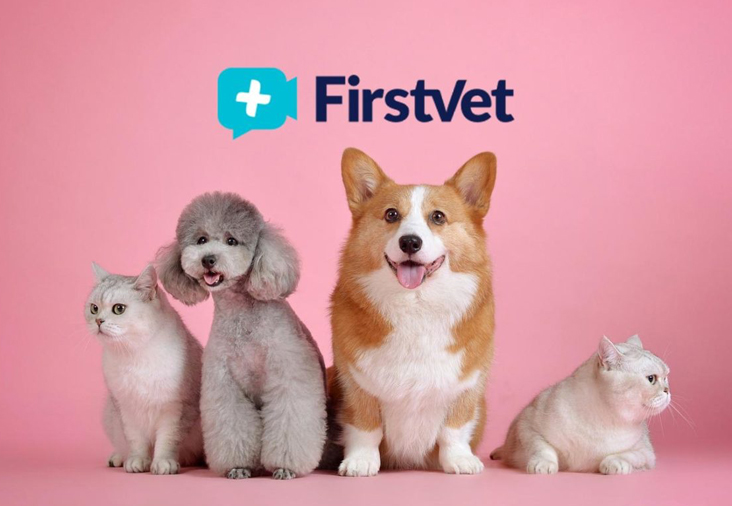 FirstVet - La Veterinaria Digital que Ofrece Consultas Ilimitadas por 8 ...