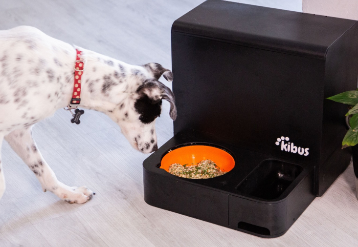 Conoce el robot que cocina comida saludable para perros y gatos