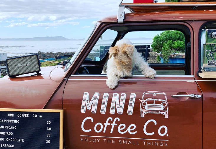 Transformando Mini Coopers en cafeterías móviles, ¡mira este negocio!