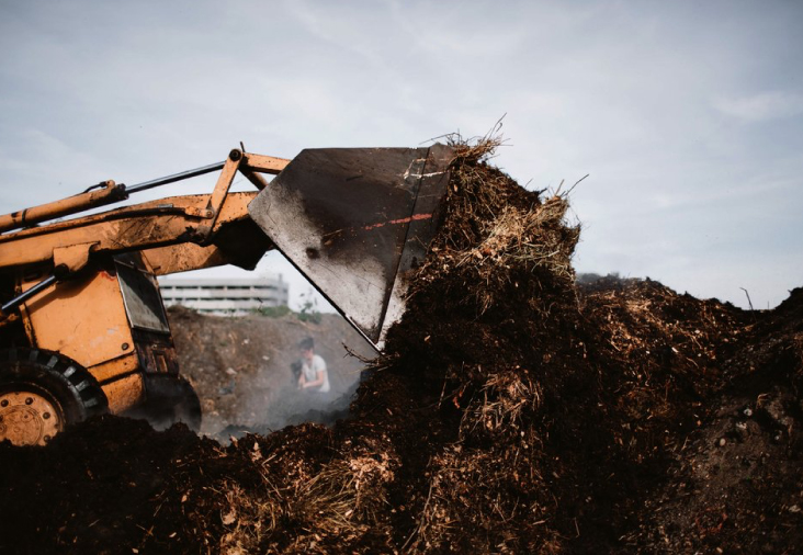 Pashon Murray - Una Emprendedora Impulsando Economías Bajas en Carbono
