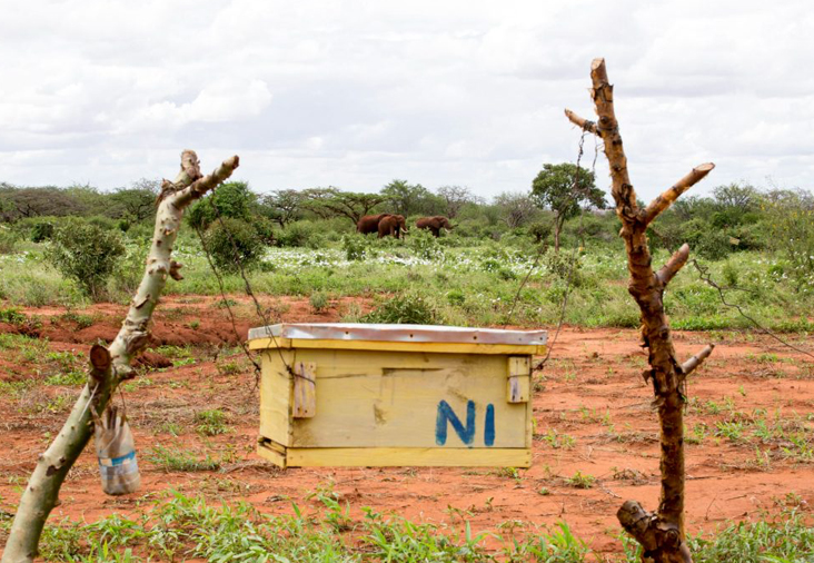 Los 40 Proyectos Ecológicos más Innovadores del 2024