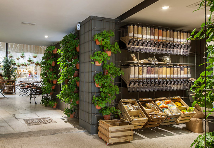 Proyectos Ecológicos Innovadores - 35 Casos de Éxito