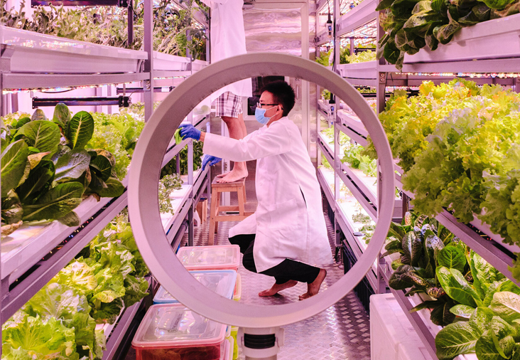 Proyectos Ecológicos Innovadores - 35 Casos de Éxito