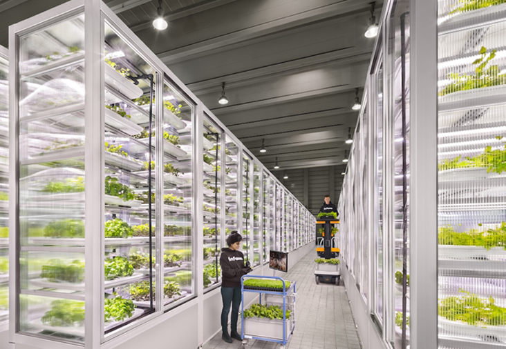 Los 40 Proyectos Ecológicos más Innovadores del 2024