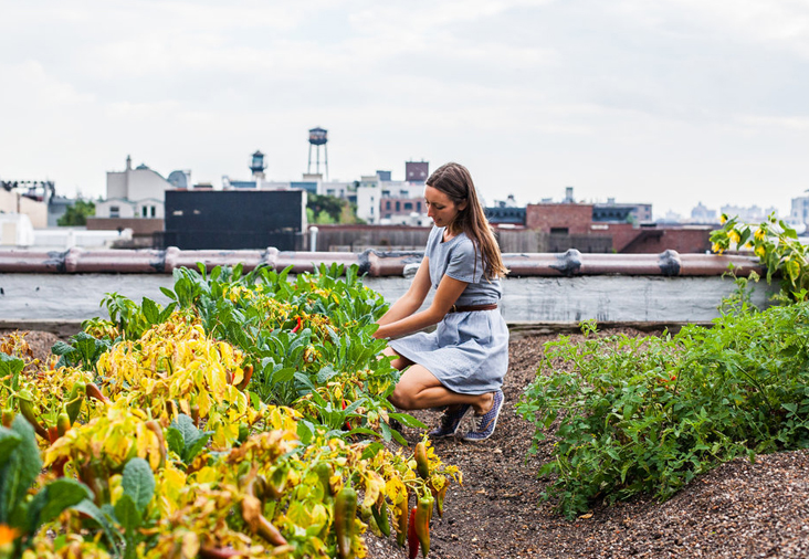 Los 40 Proyectos Ecológicos más Innovadores del 2024