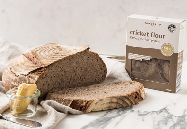 Tomorrow Foods - El Negocio que Crea Harinas y Pastas con Grillos