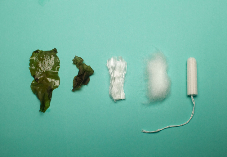 Vyld, la marca alemana que fabrica tampones con algas marinas